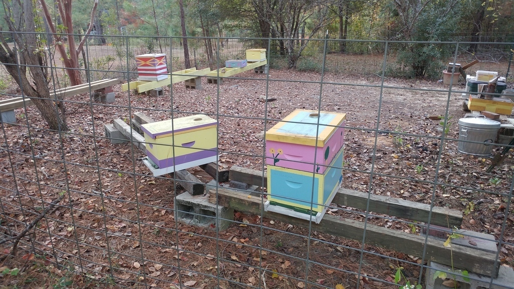 Hive Spacing Recommendations? : r/Beekeeping