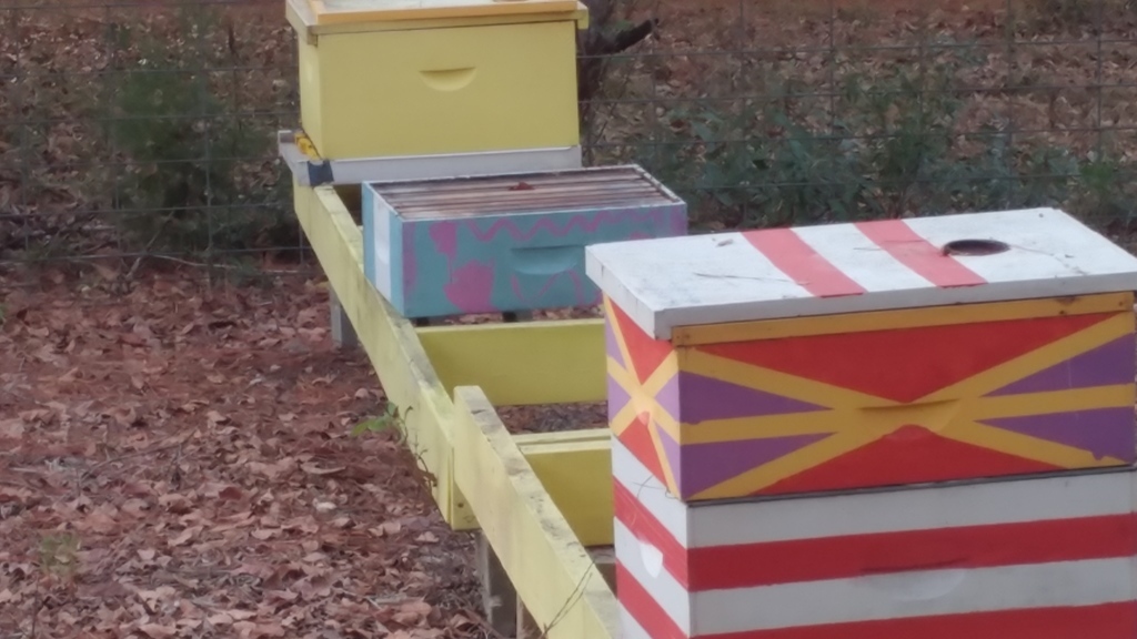 Hive Spacing Recommendations? : r/Beekeeping